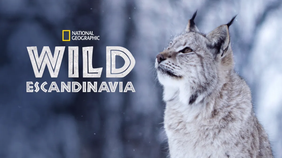Ver los episodios completos de Wild Escandinavia | Disney+
