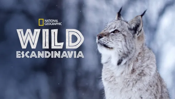 Ver Wild Portugal | Disney+
