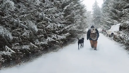 Regarder Port Protection Alaska | Épisodes complets | Disney+