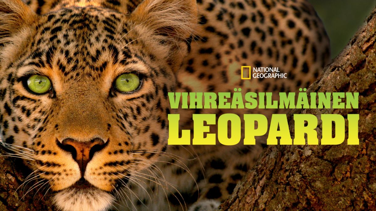 Katso Vihreäsilmäinen leopardi | Disney+