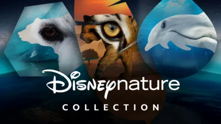 Watch All Collections | Disney+