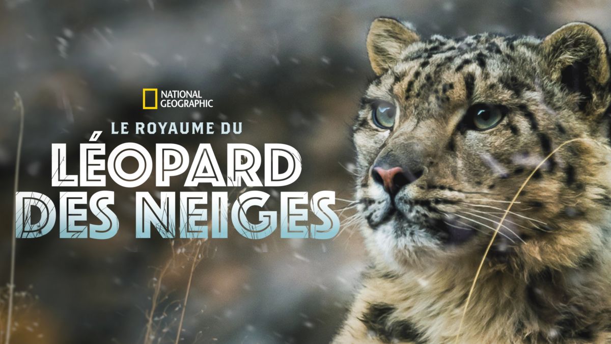 Regarder Le royaume du léopard des neiges | Film complet | Disney+