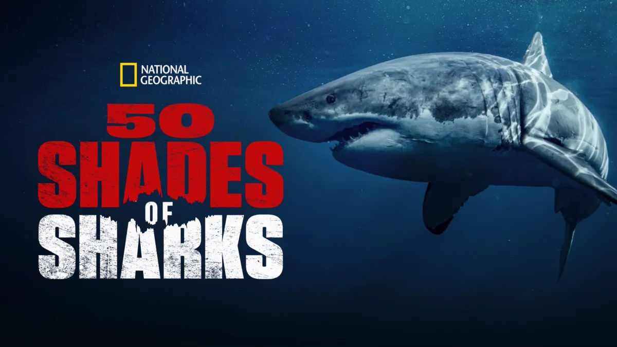 Δείτε το «50 Shades of Sharks» | Disney+
