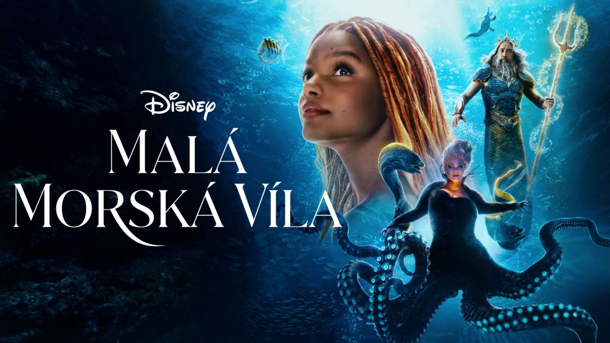 Pozerajte Malá morská víla | Disney+
