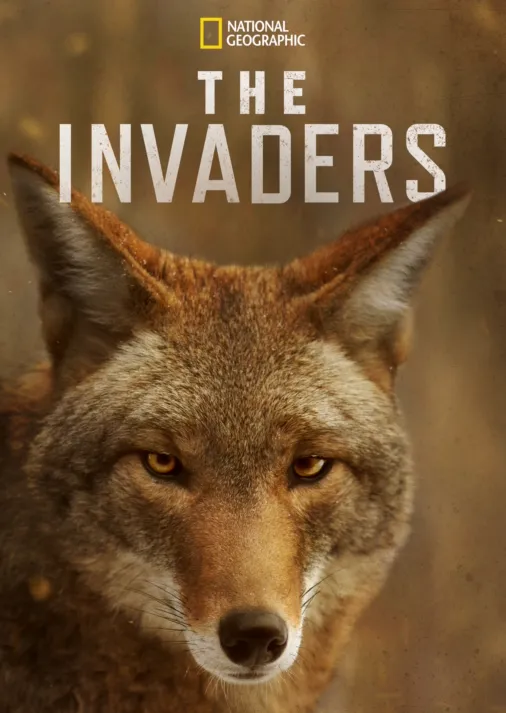 Watch Invaders, The | Disney+