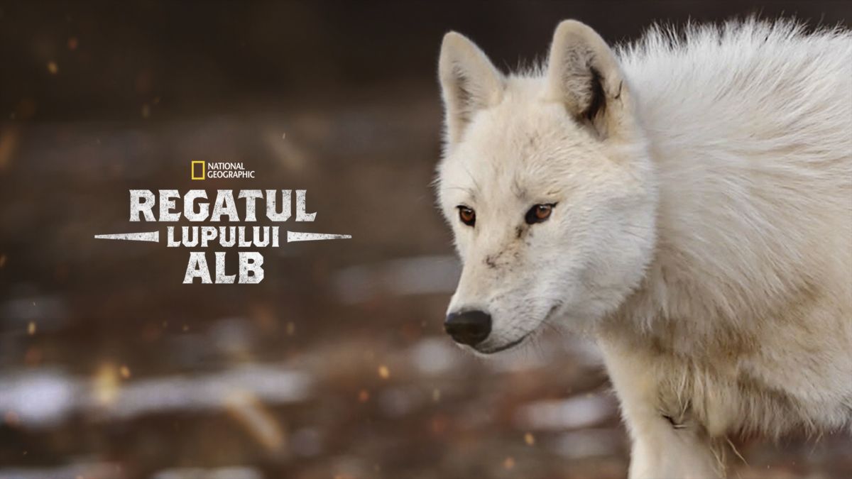 Vizionează Regatul lupului alb | Disney+