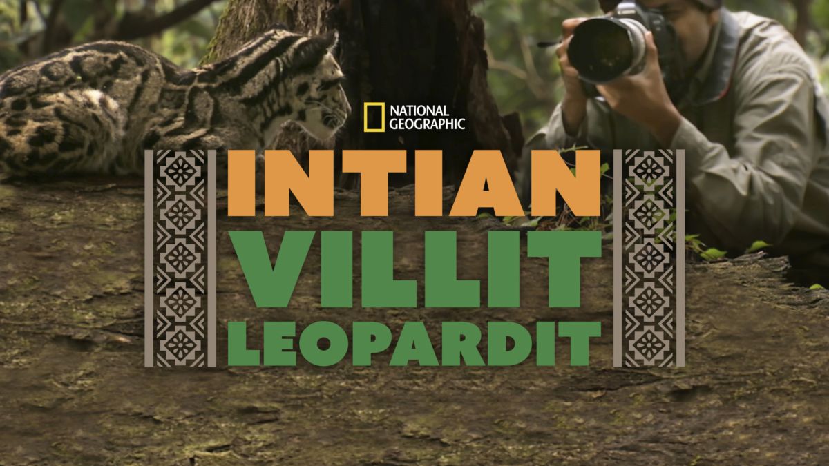 Watch Intian villit leopardit | Koko elokuva | Disney+