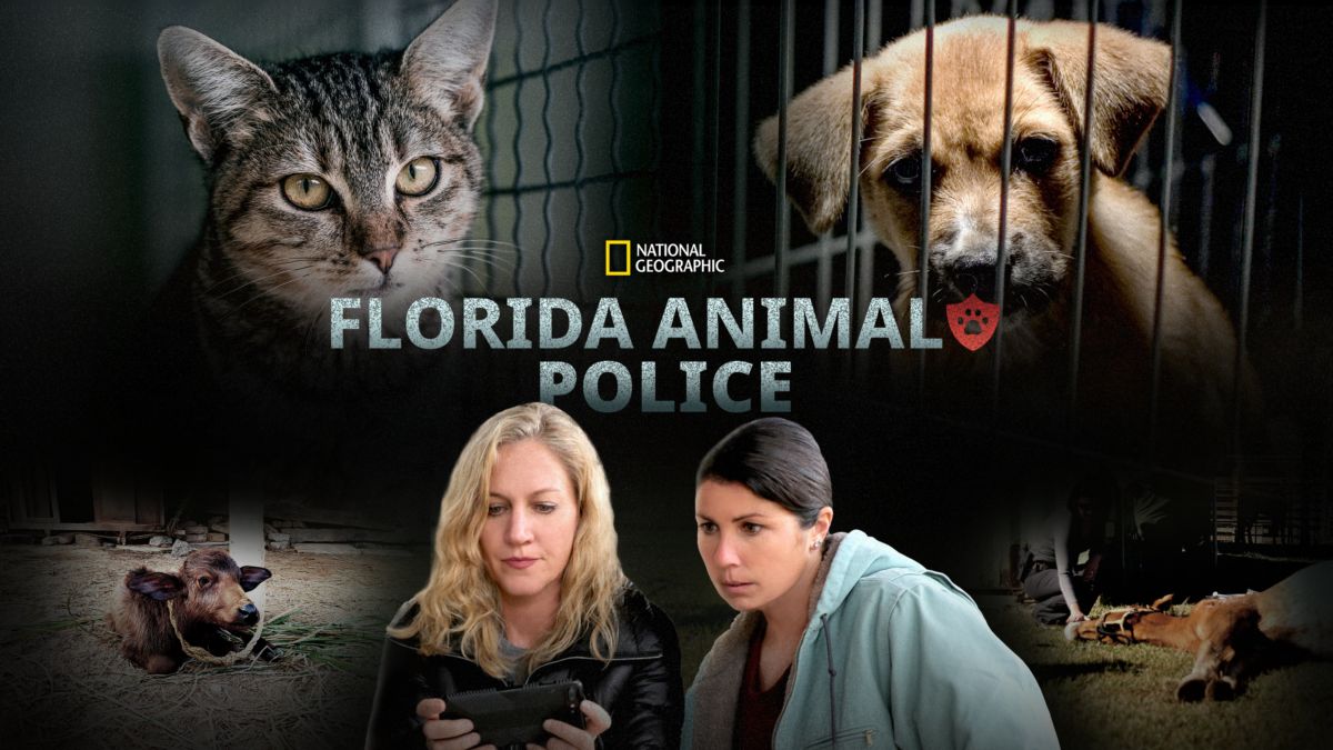 Regarder Florida Animal Police | Épisodes complets | Disney+