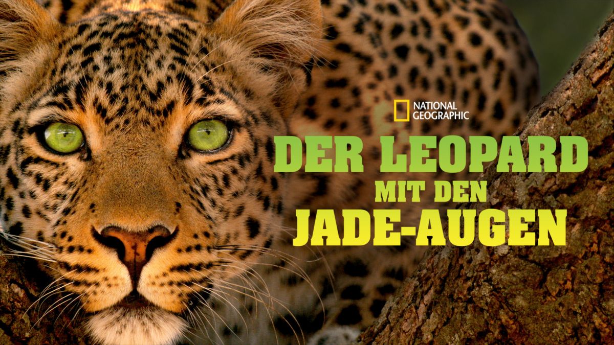 Der Leopard mit den Jade-Augen streamen | Ganzer Film | Disney+