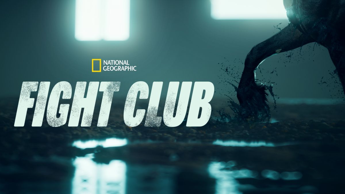 Vizionează Fight Club | Disney+