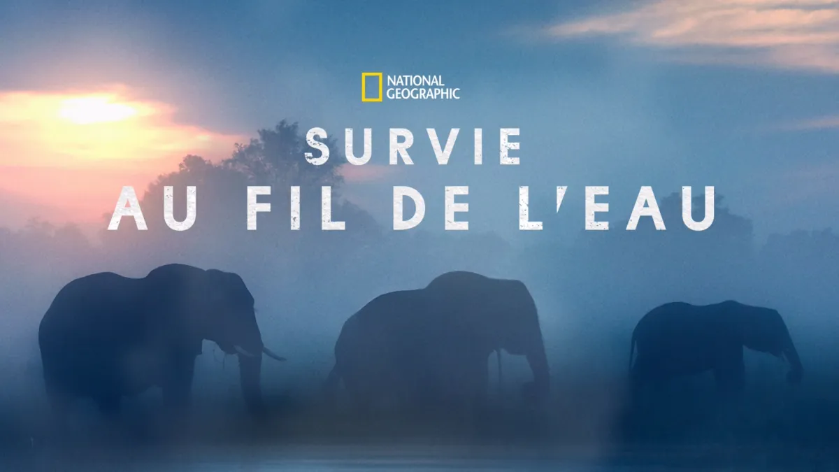 Regarder Survie au fil de l’eau | Disney+