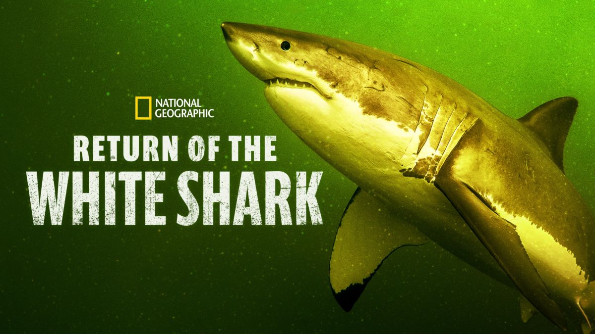 Return of the White Shark | Disney+
