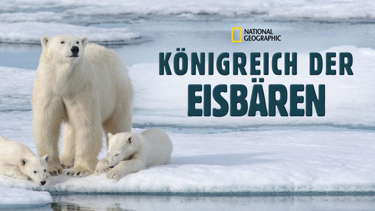 Ganze Folgen von Kingdom of The Polar Bears ansehen | Disney+