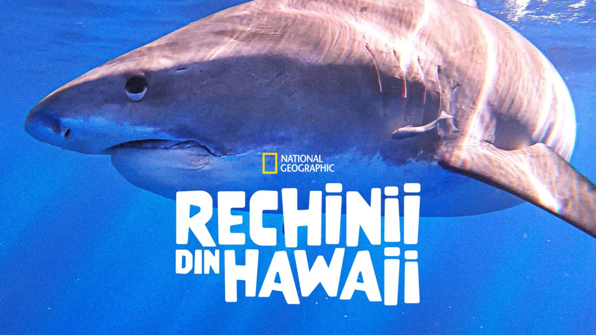 Rechinii din Hawaii | Disney+
