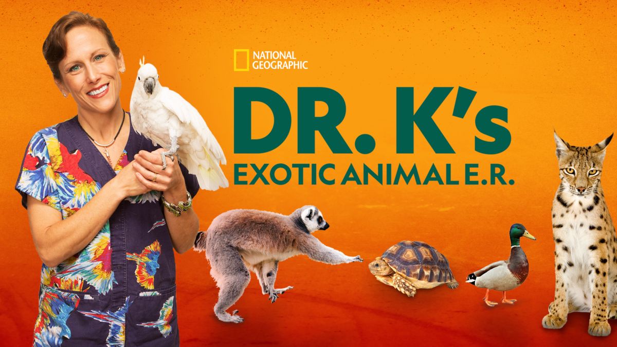 Kijk de volledige afleveringen van Dr. K's Exotic Animal ER | Disney+