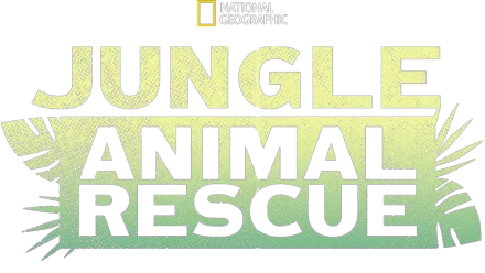 Watch Jungle Animal Rescue | Full Episodes | Disney+