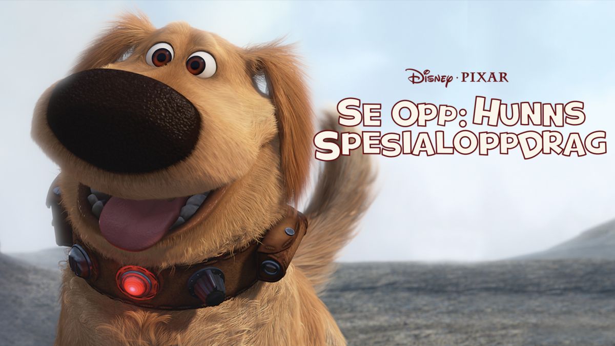 Se Se opp: Hunns spesialoppdrag | Disney+