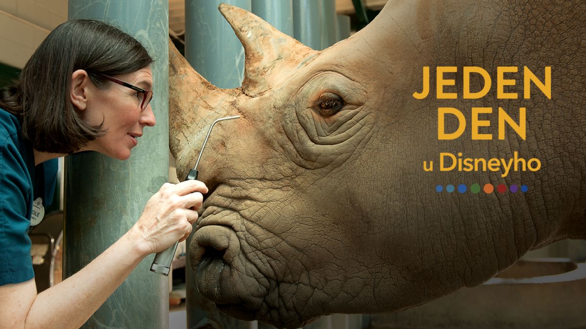 Jeden den u Disneyho | Disney+