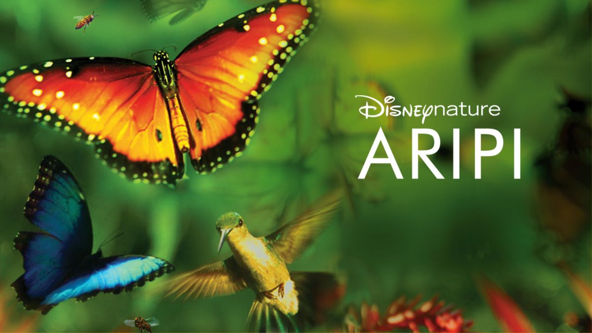 Vizionează Aripi | Film integral | Disney+