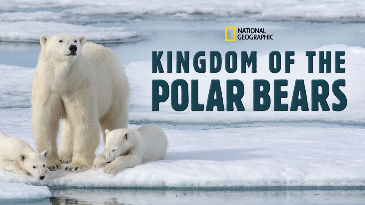 Kijk de volledige afleveringen van Kingdom of The Polar Bears | Disney+