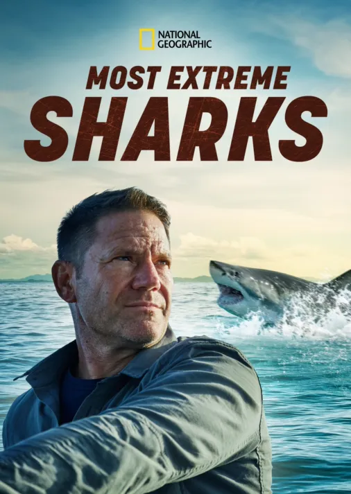 Ganze Folgen von Most Extreme Sharks ansehen | Disney+