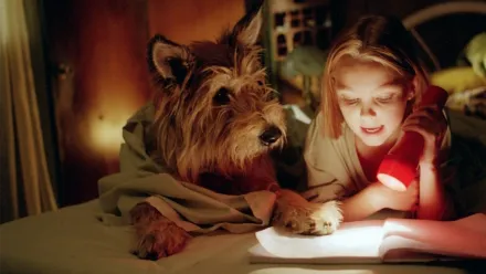 Watch Because of Winn-Dixie | Disney+