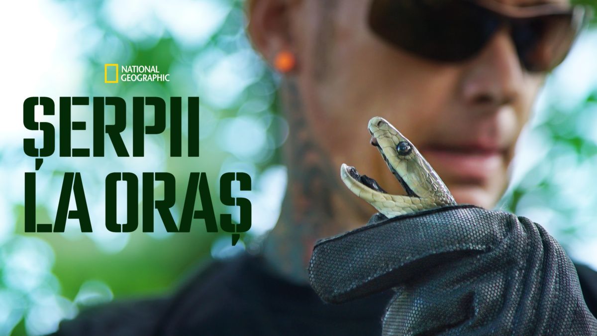 Vizionează Șerpii la oraș | Disney+