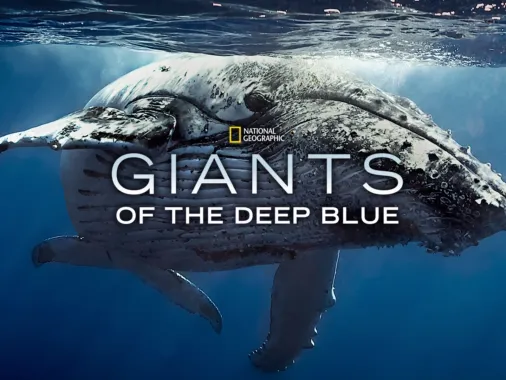 Watch Giants of the Deep Blue | Disney+