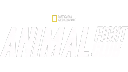 Kijk de volledige afleveringen van Animal Fight Club | Disney+