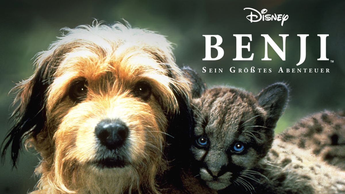 Benji, sein größtes Abenteuer streamen | Ganzer Film | Disney+