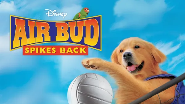 Watch Air Bud: World Pup | Disney+