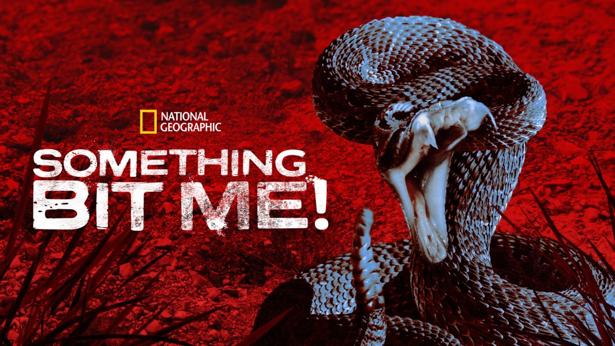 Titta på Something Bit Me! | Hela avsnitt | Disney+