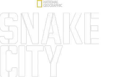 Ver Snake City | Disney+