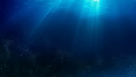 Watch Avatar: The Deep Dive — A Special Edition of 20/20 | Disney+