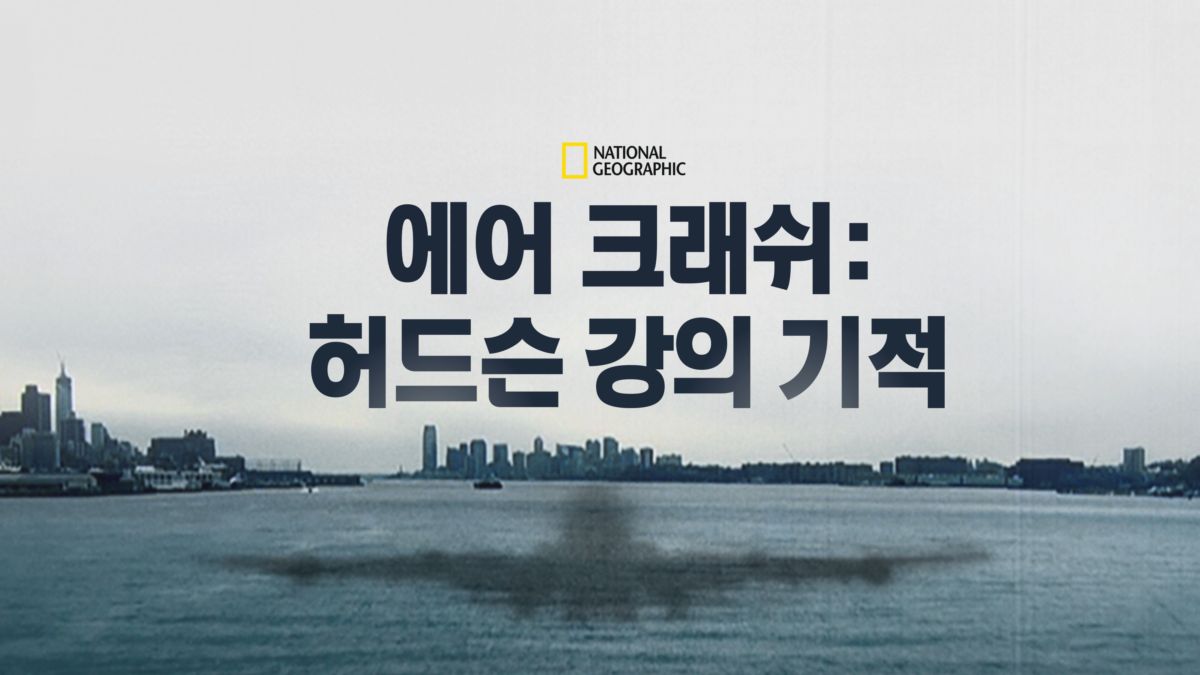 Miracle Landing on the Hudson | 디즈니+