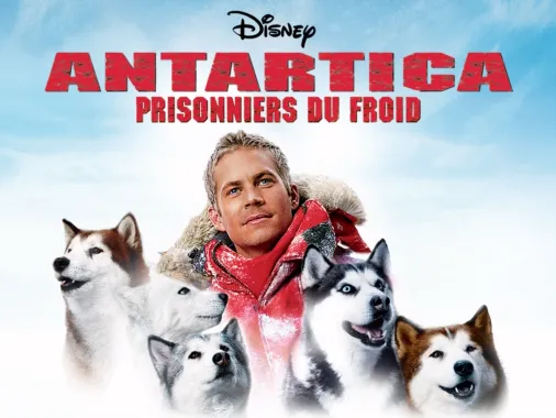 Regarder Antartica, prisonniers du froid | Disney+