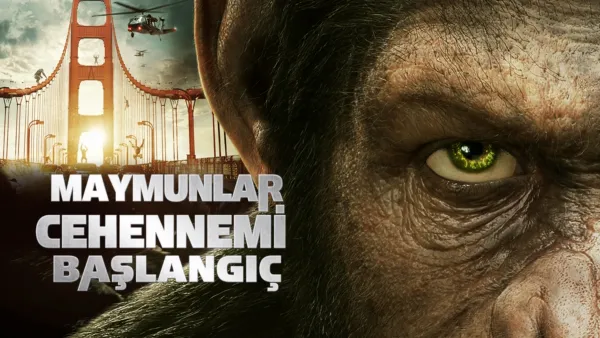 Maymunlar Cehennemi: Yeni Krallık İzleyin | Disney+