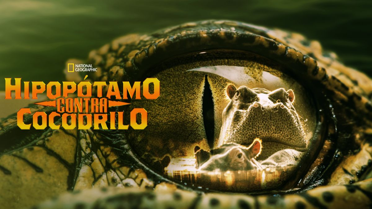 Hipopótamo contra cocodrilo | Disney+