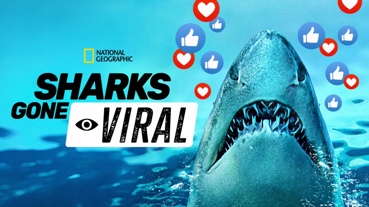 觀看Sharks Gone Viral | Disney+