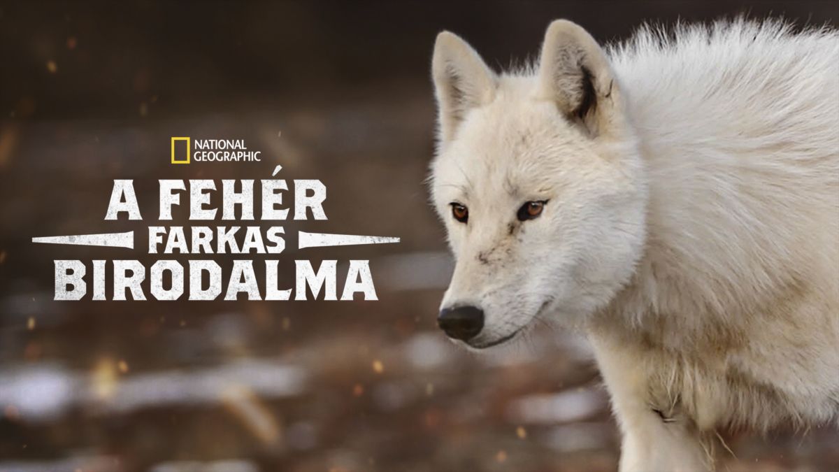 A fehér farkas birodalma megtekintése | Disney+