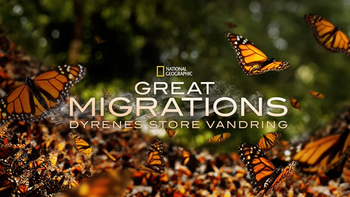 Se hele afsnit af Great Migrations | Disney+