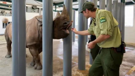 Watch Disney Parks | Disney+