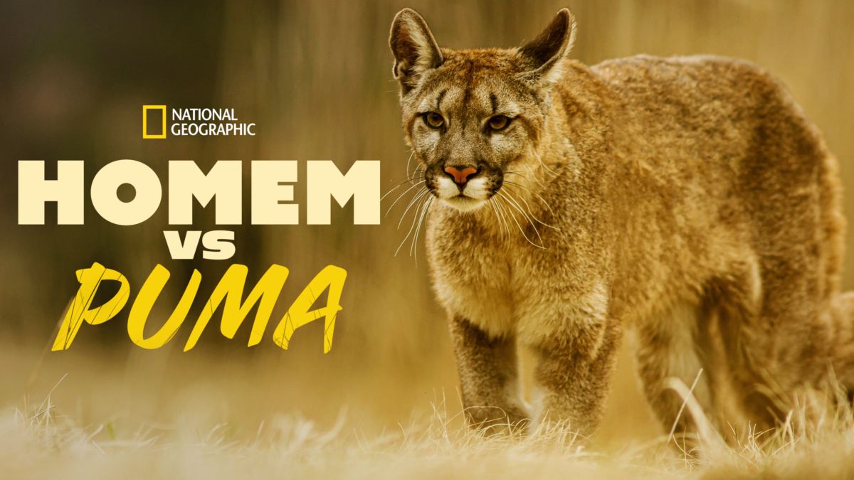 Assistir a Man VS. Puma | Filme completo | Disney+