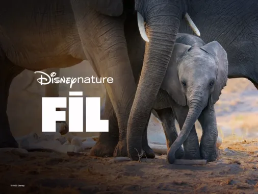 Fil İzleyin | Disney+