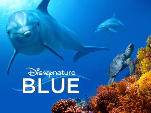 Regardez Disneynature : Blue | Disney+