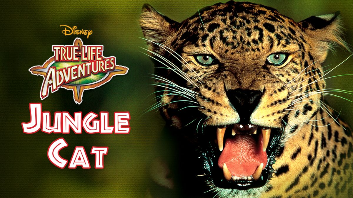 Jungle Cat | Disney+