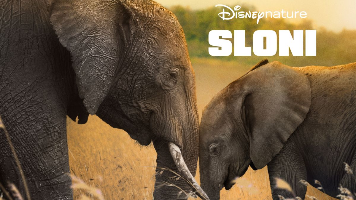 Sloni | Disney+