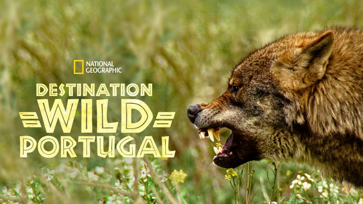 Destination Wild : Portugal | Disney+