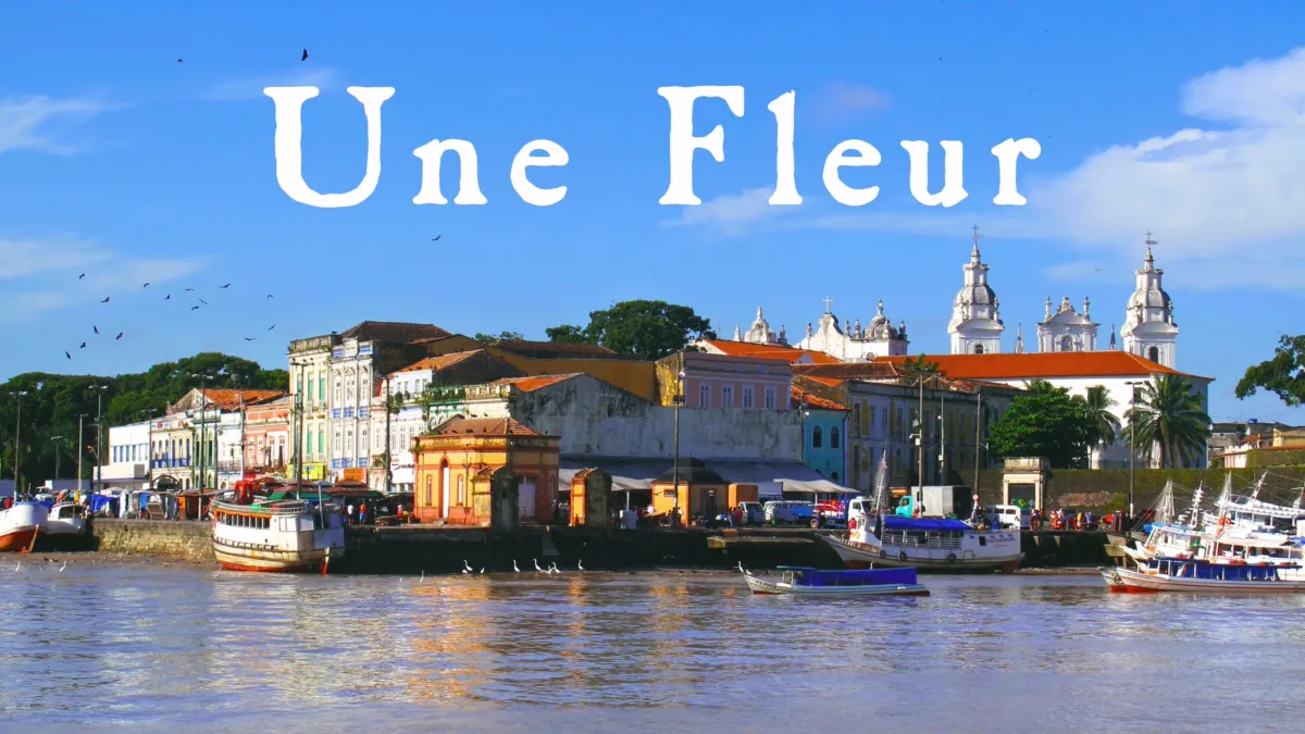 Δείτε το «Fleur» | Disney+