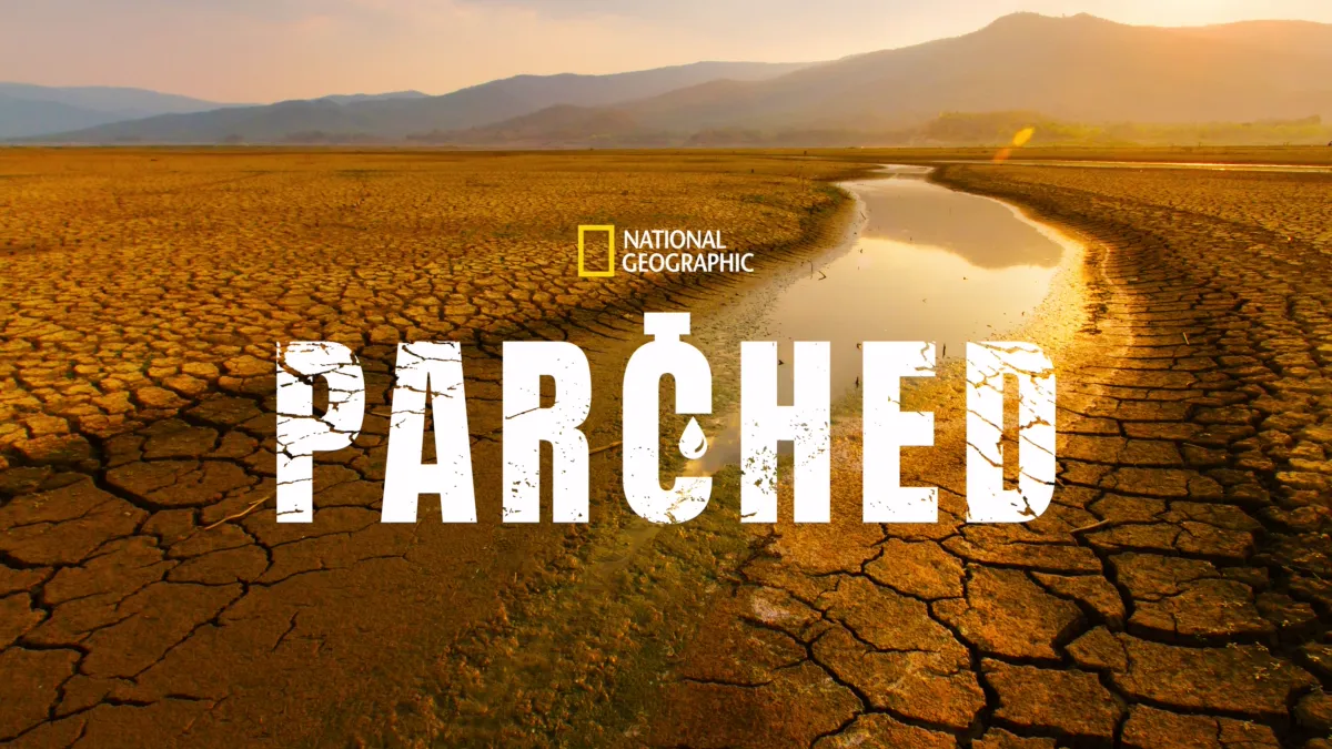 Watch Parched | Full episodes | Disney+